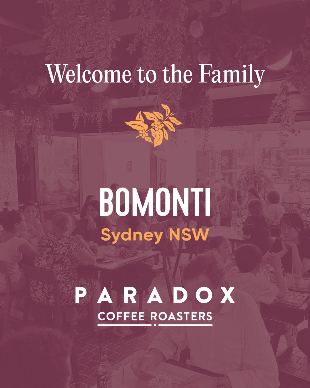 Welcome to the Paradox Family Bomonti Sydney! – Paradox Coffee Roasters