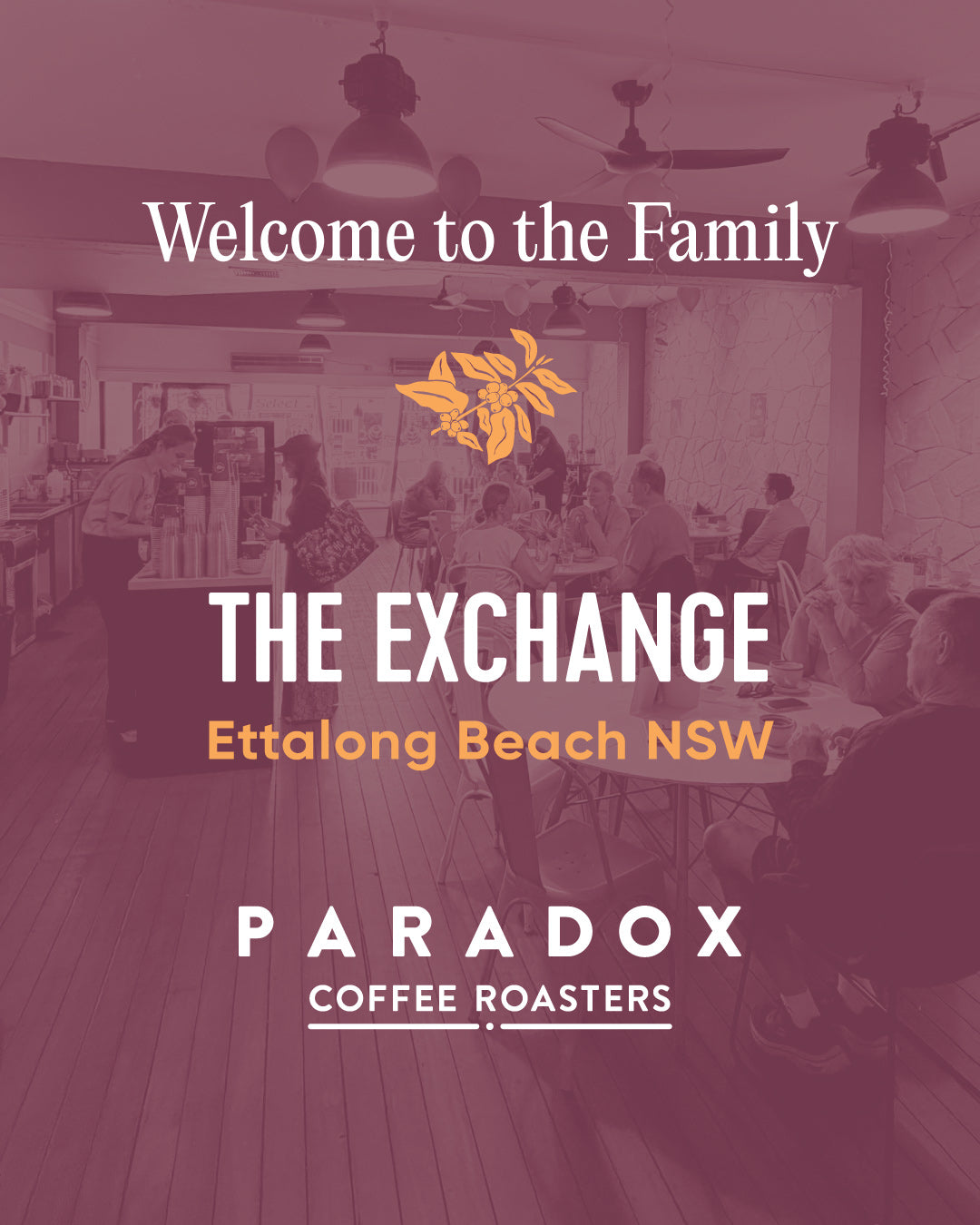 Welcome to the Paradox family, The Exchange Ettalong! – Paradox Coffee ...