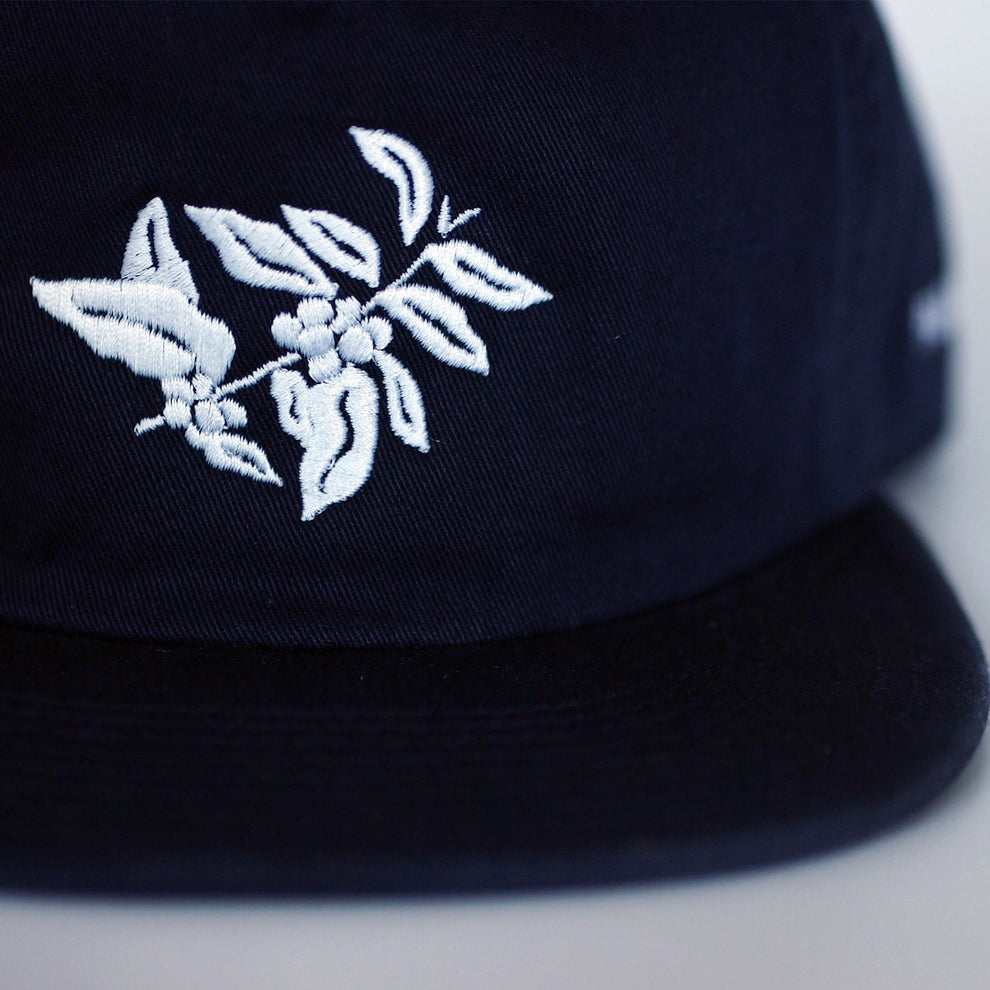 Paradox Icon Cap – Paradox Coffee Roasters